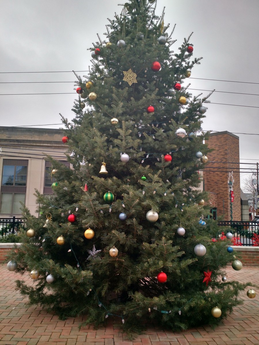 Christmas in March? Tree Confusion! | Orange Street News