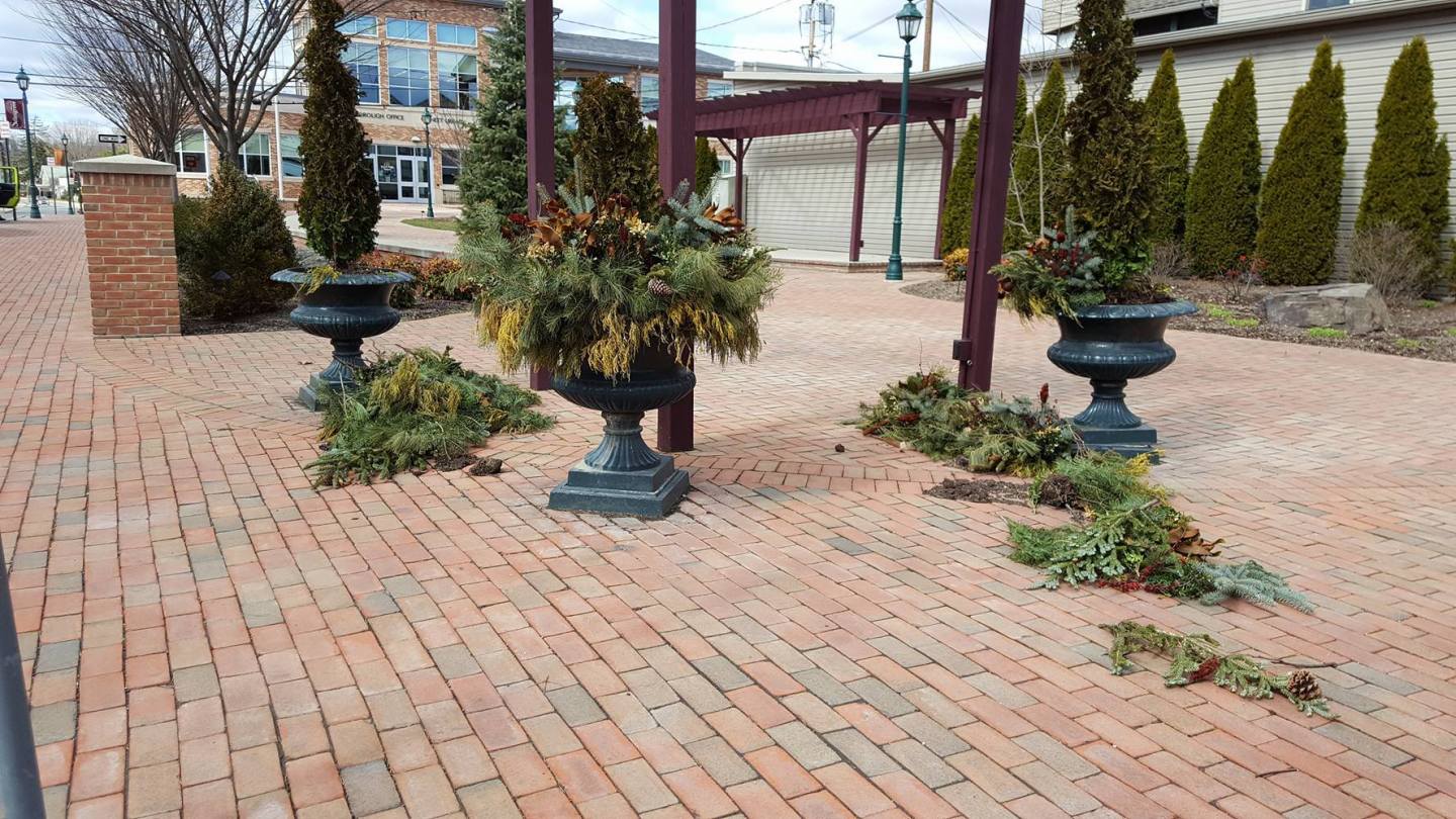 Plant Vandal Strikes Again? | Orange Street News